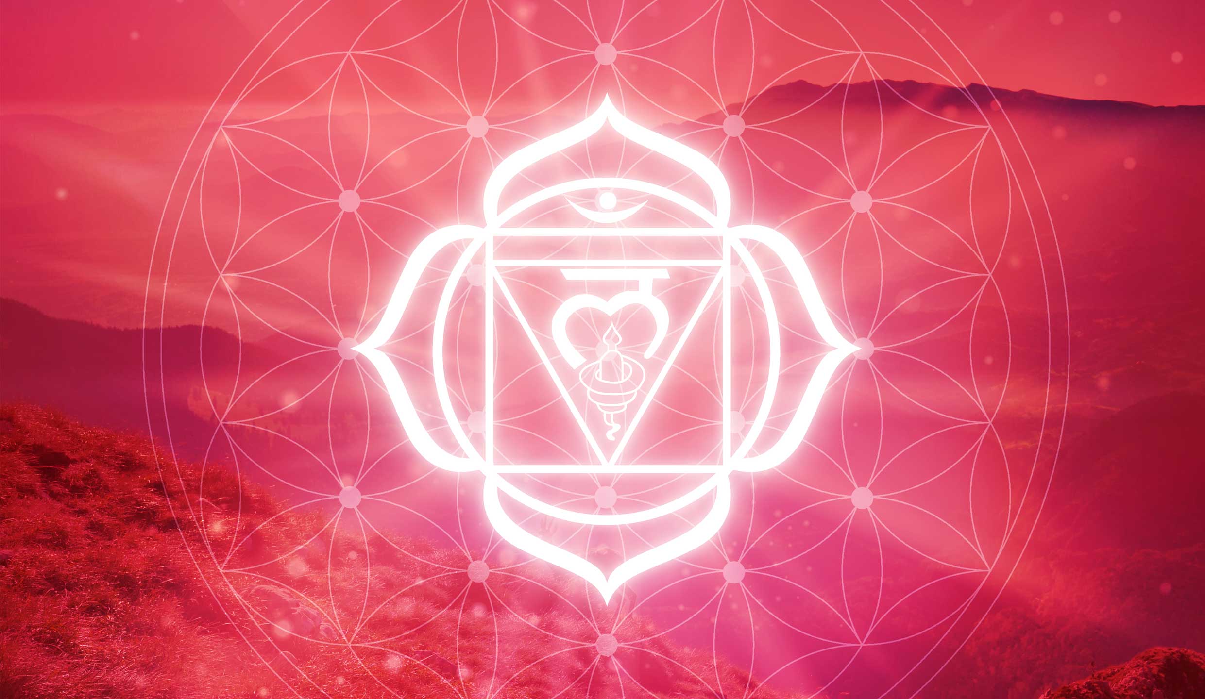 Wurzelchakra - Muladhara - Der Ursprung - Seelenhoch.com