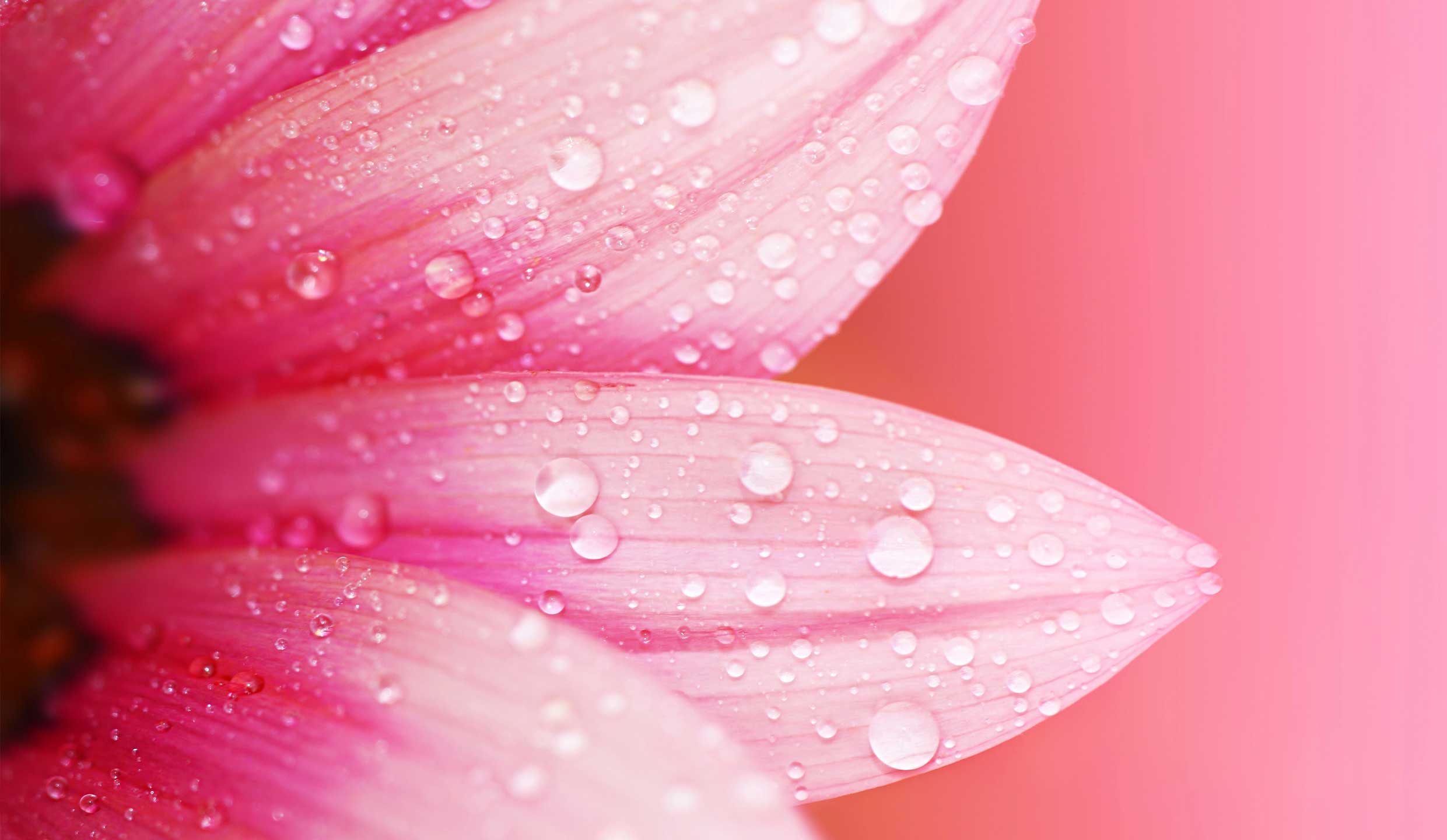 Die Farbe Rot - Bedeutung und Eigenschaften - Seelenhoch.com